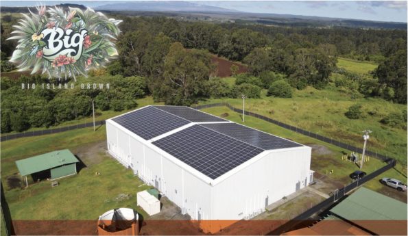 Big Island Grown | Steel Building Hawaii